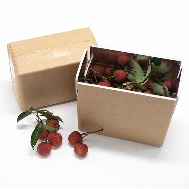 Frozen transport boxes with stock available